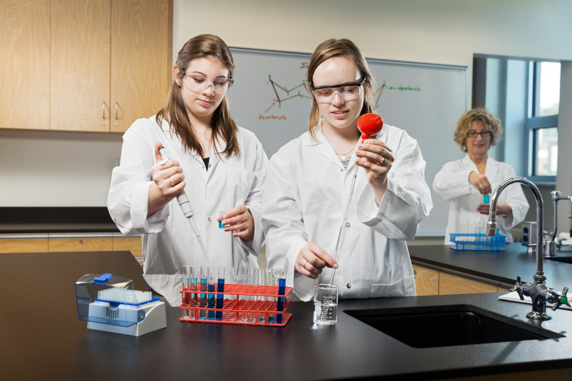 Sciences de la nature | Cégep de la Gaspésie et des Îles
