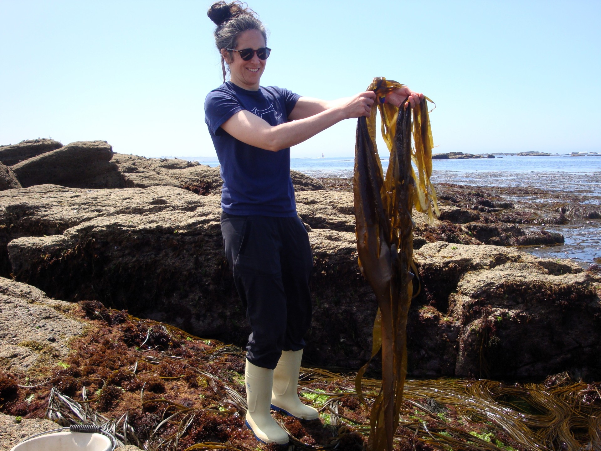 Deux membres du personnel enseignant du Cégep de la Gaspésie et des ...